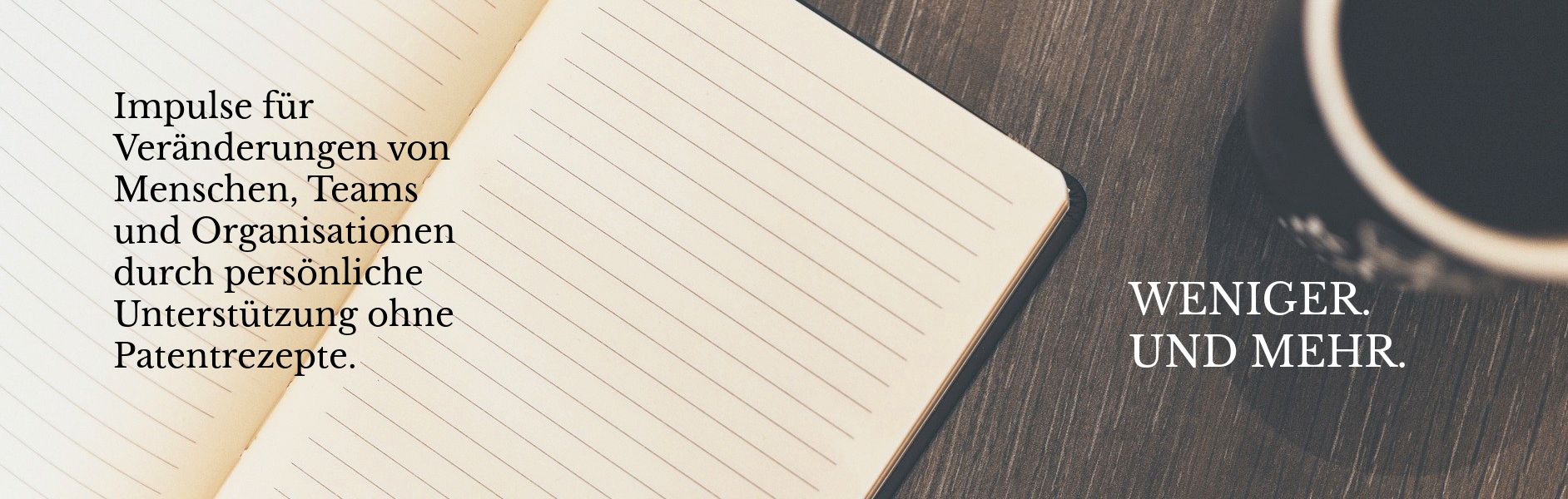 Andreas Steffen - Publikum